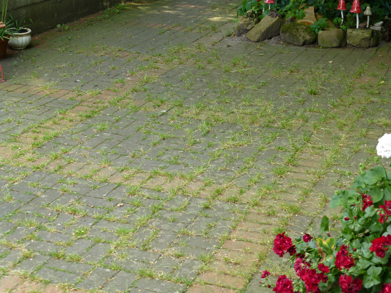 Bio Floor GbR – Ihre Empfehlungen